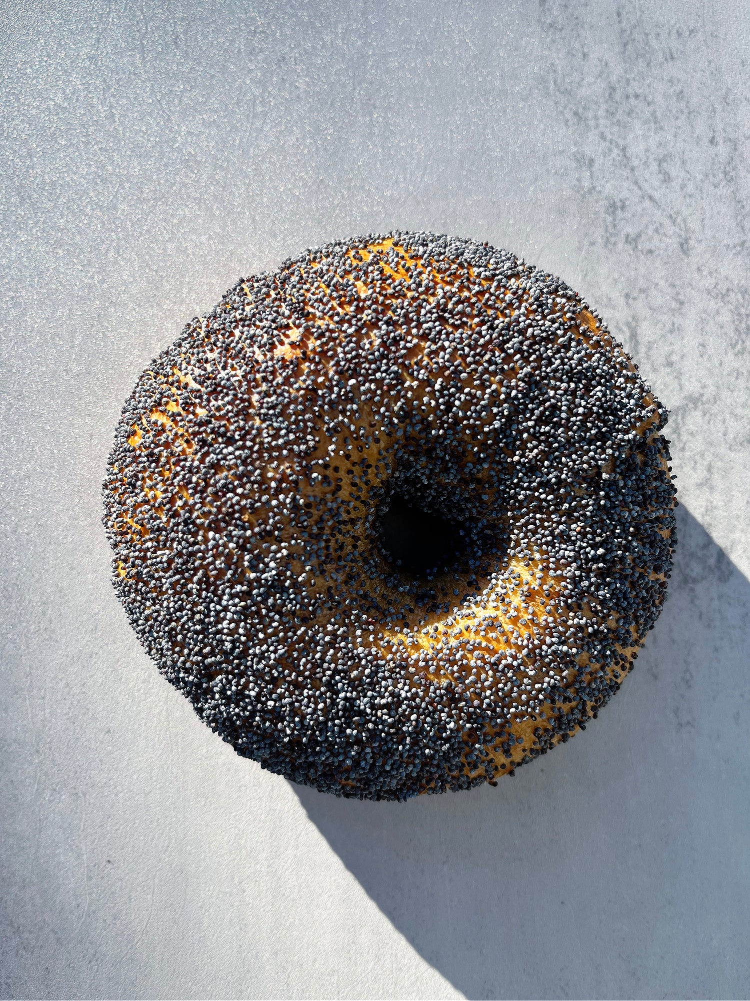 Poppy Sourdough Bagel | Mother Dough Bagels | Santa Barbara, CA ...